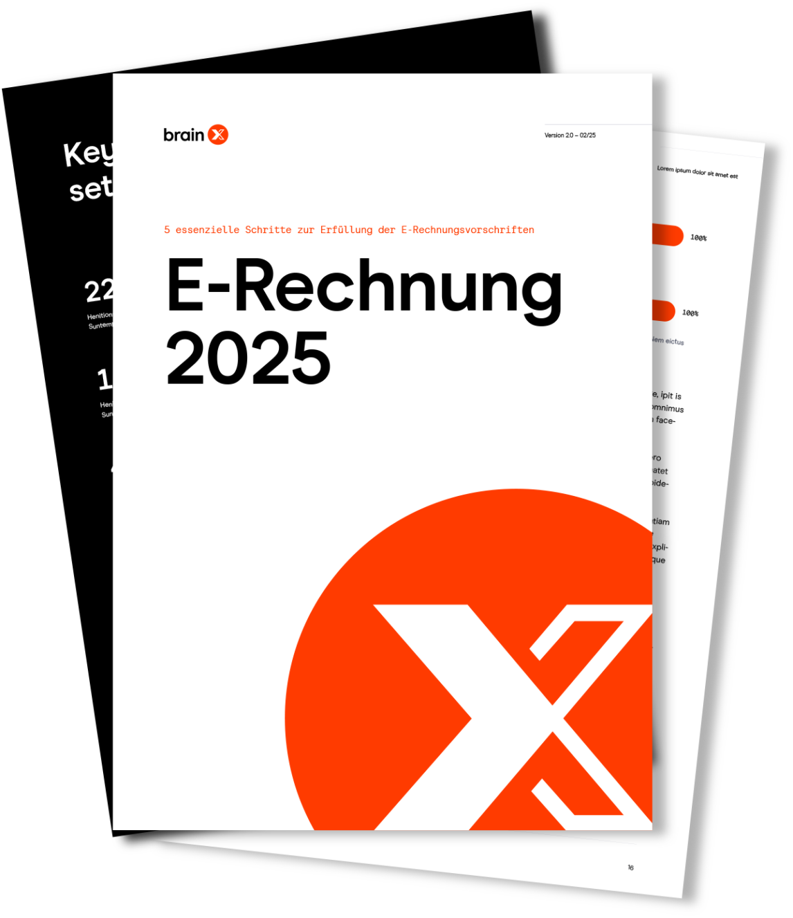 E-Rechnung 2025 | brainX - brainX